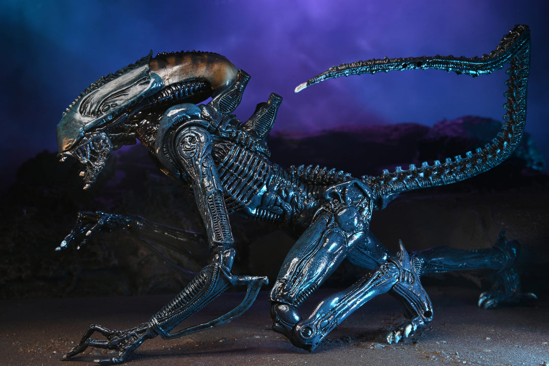 NECA Alien vs. Predator Arachnoid (Movie Deco) – Nerdzoic Toy Store