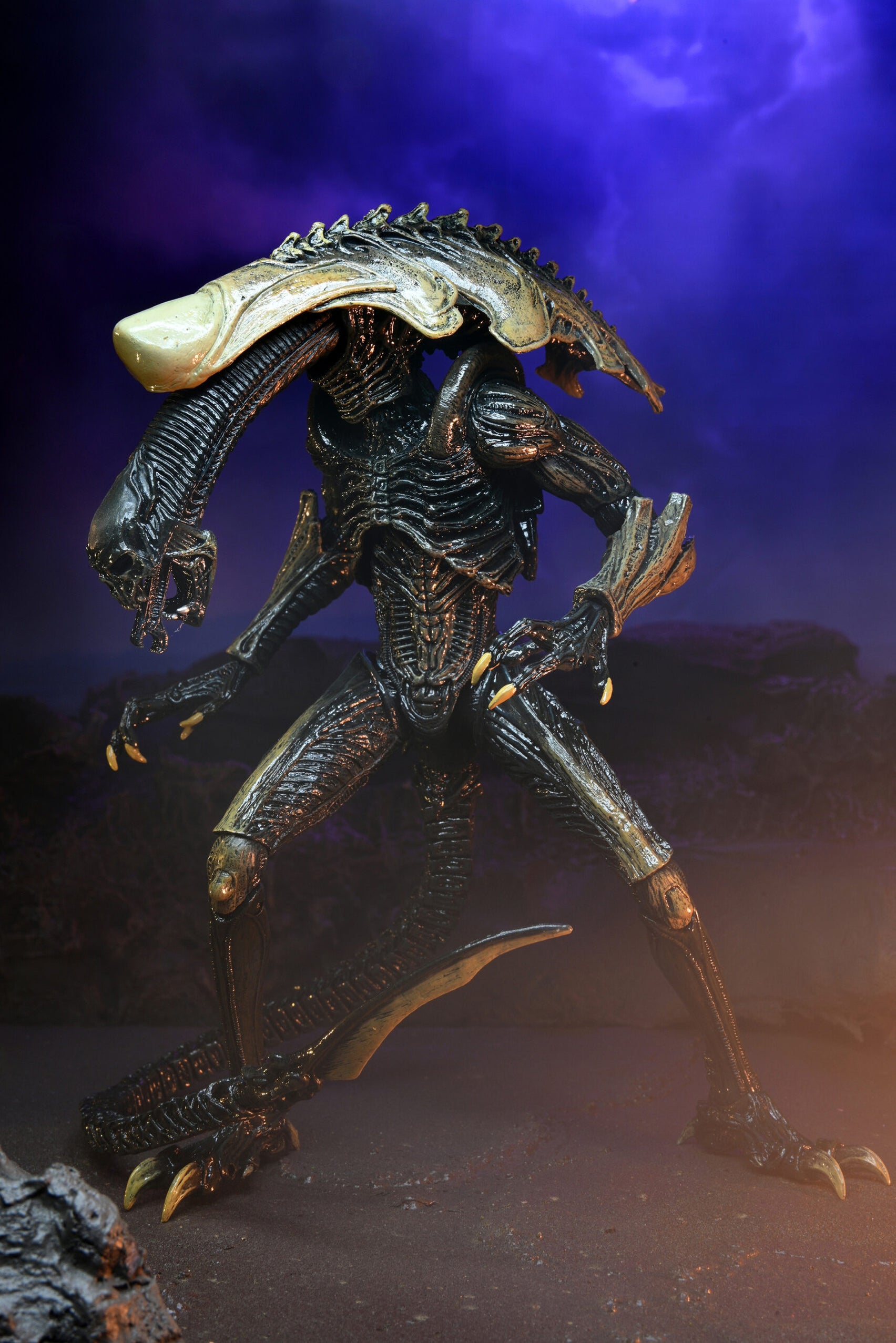 NECA Alien vs. Predator Chrysalis (Movie Deco) — Nerdzoic Toy Store
