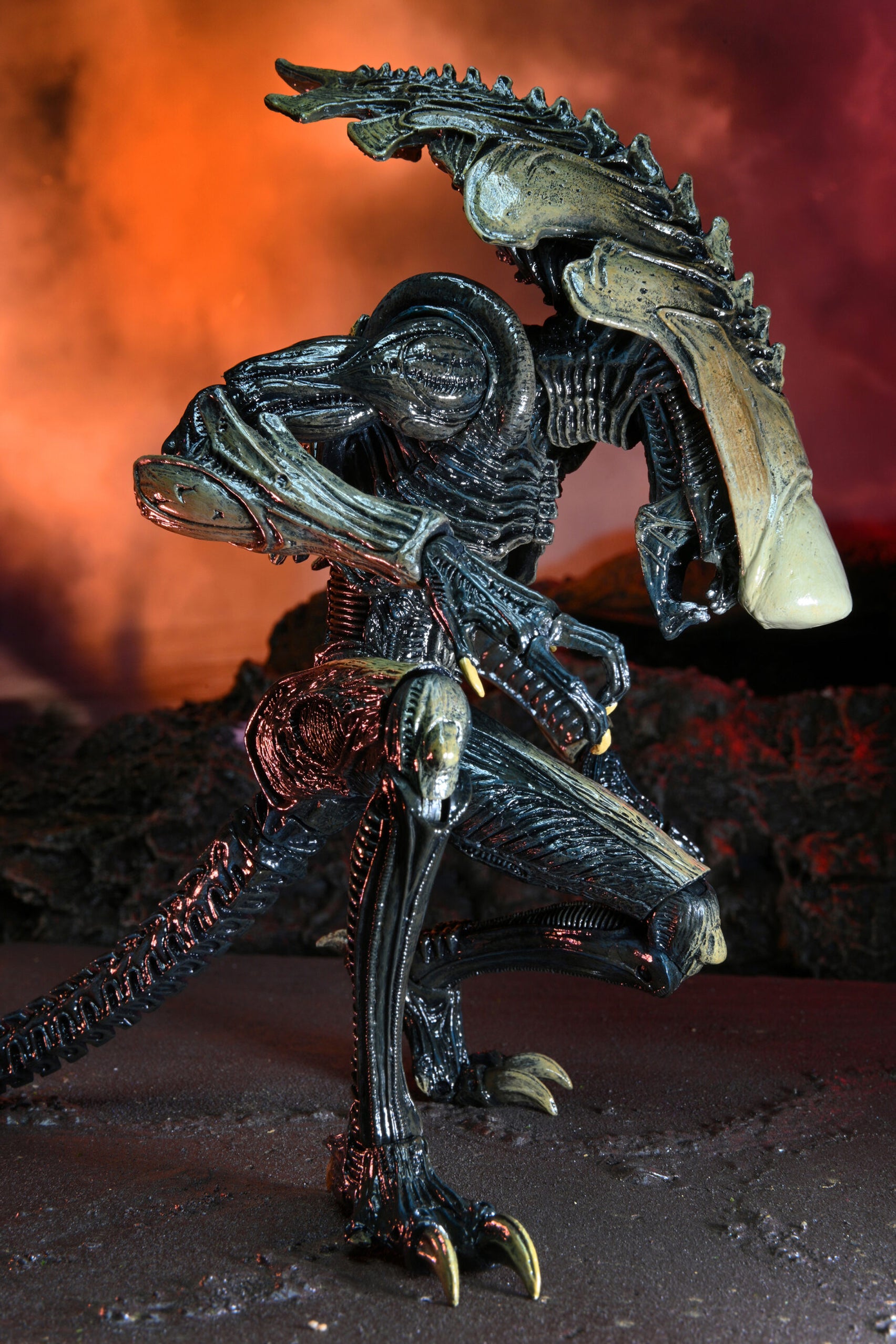 NECA Alien vs. Predator Chrysalis (Movie Deco) — Nerdzoic Toy Store