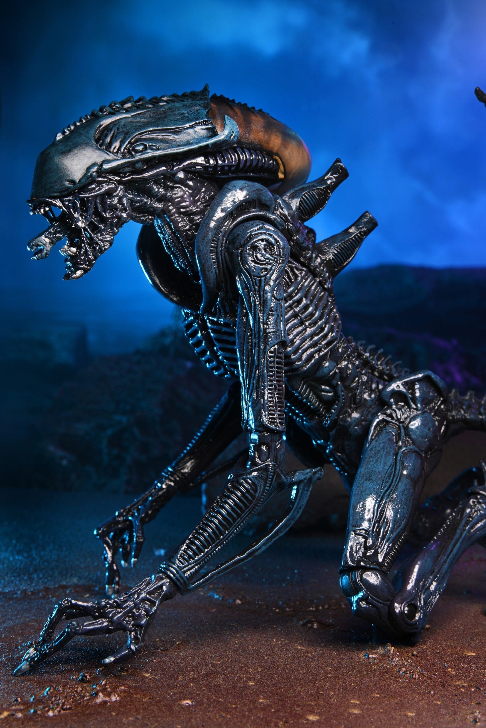 NECA Alien vs. Predator Arachnoid (Movie Deco) — Nerdzoic Toy Store